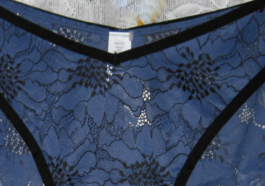 NWT XXL AERIE VIOLET BLUE/BLACK FLORAL STRETCH LACE HIGH-CUT BIKINI ...