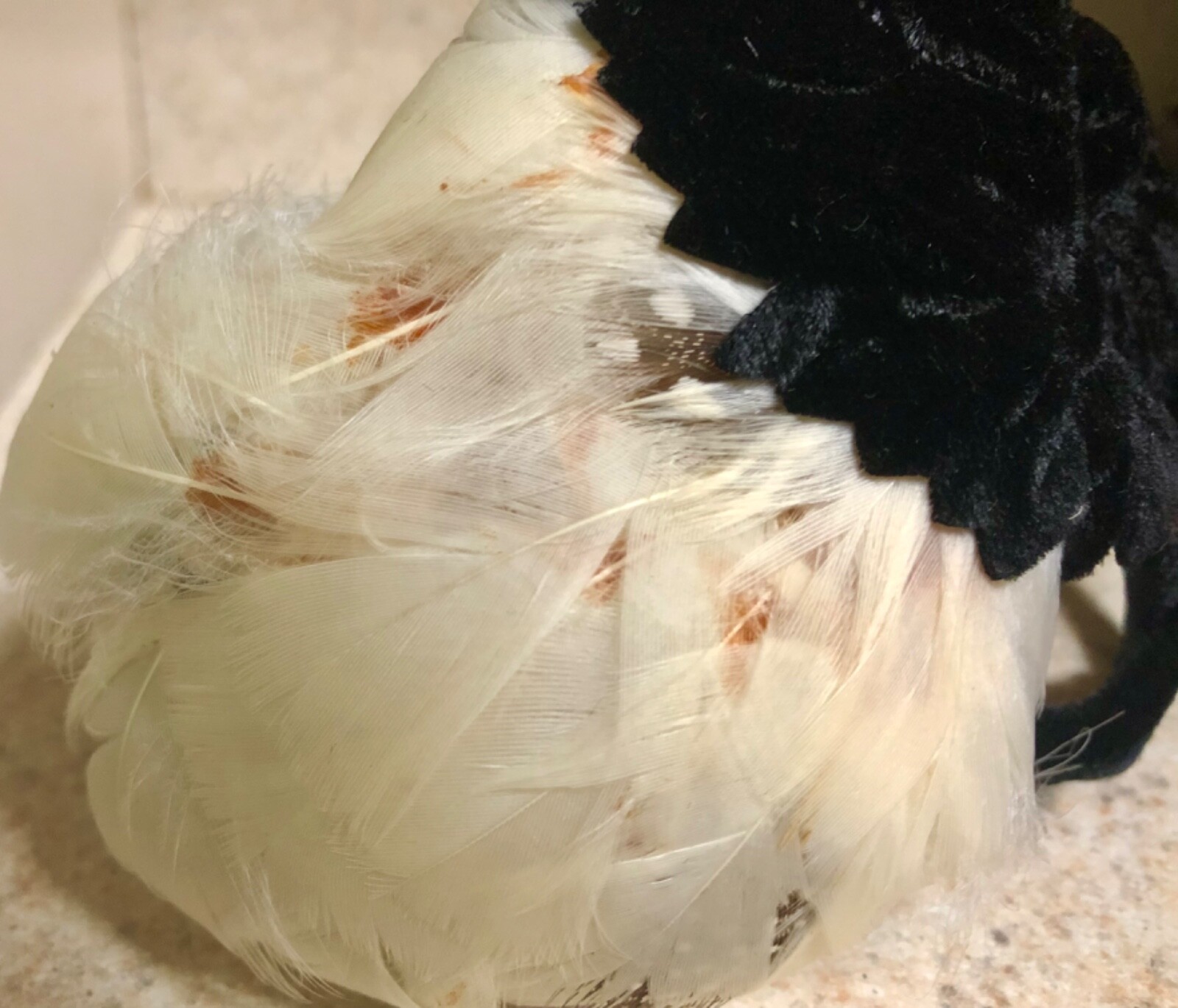 Vintage Feathered Black Tiara Hat. - Gem