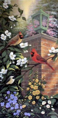 Red Cardinal - Derk Hansen Birds Wildlife Animals Canvas Giclee Print ...