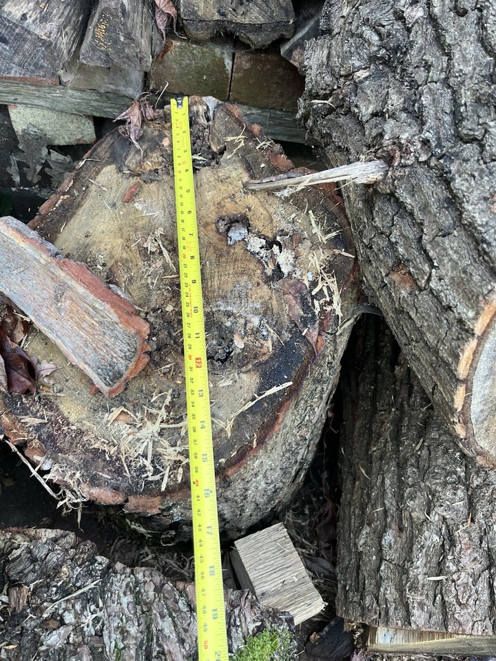 logs for sale | eBay UK