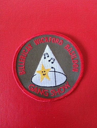 Billericay Wickford Basildon Gang Show Cloth Badge. | eBay UK