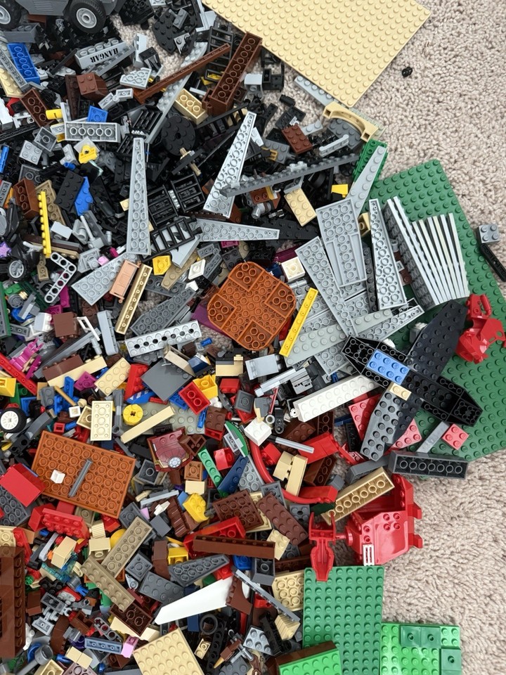 LEGO Loose Bricks 10 Lb | eBay