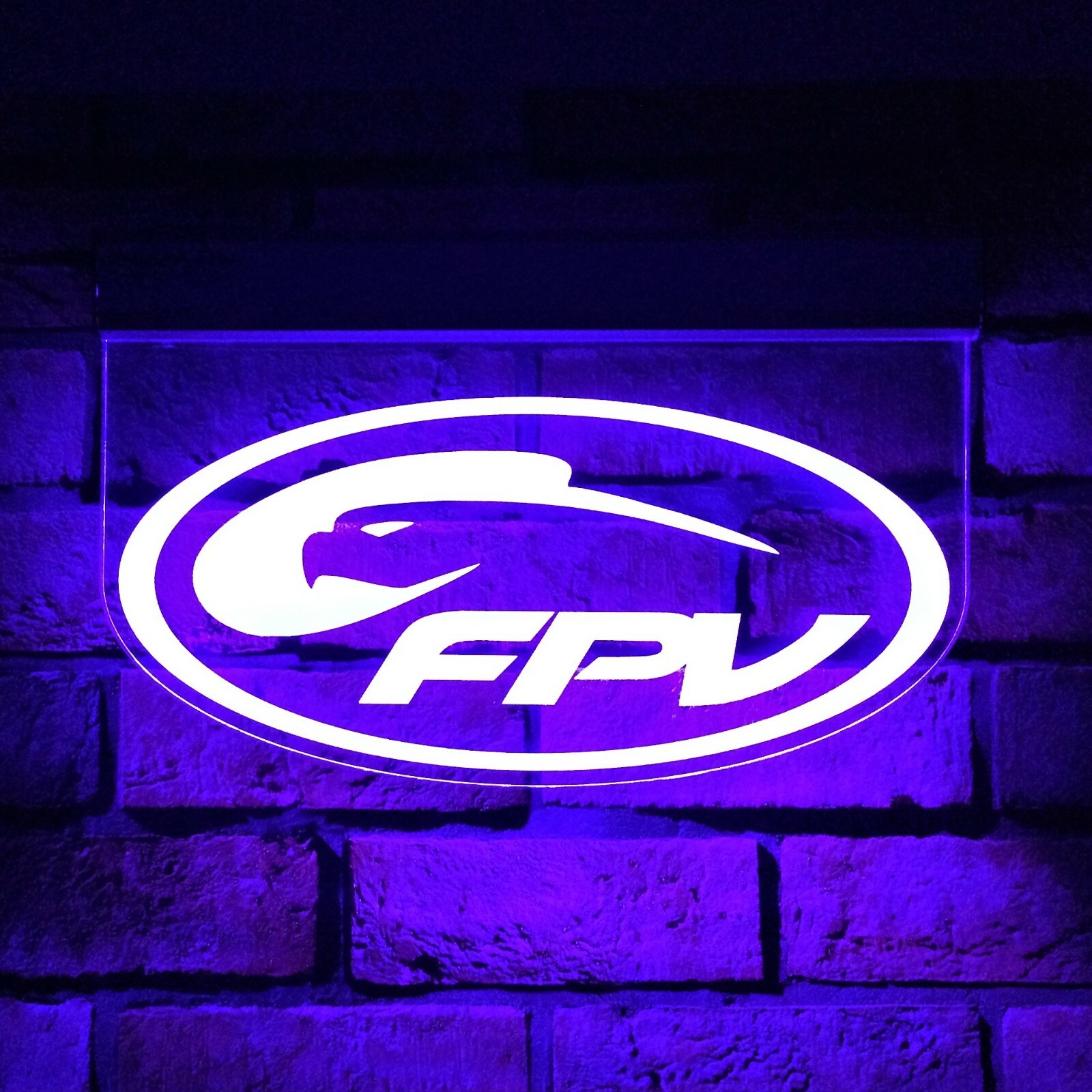 Ford FPV Logo LED Sign Light,Bar Sign,Mancave,Remote Control,Light,Gift ...