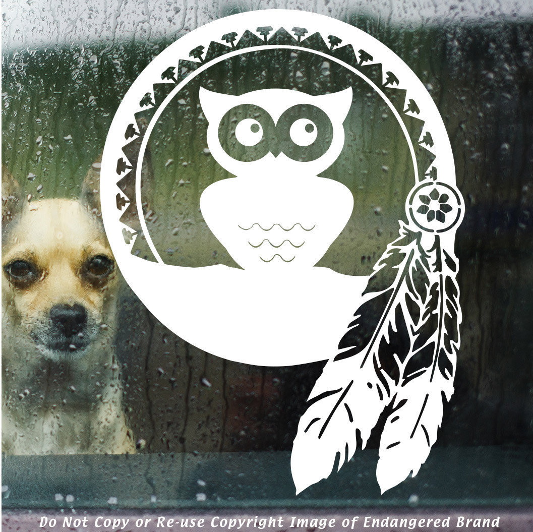 Native American Owl Symbol Familiars/Spirit Animals Owl | Pagans