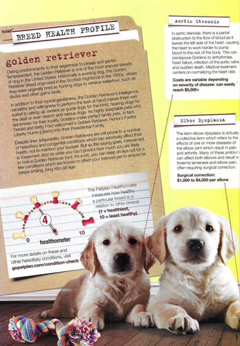 Fetch Magazine Outward Hound Issue Weather Noise and Phobias Outdoors ...