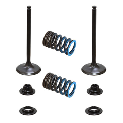 Psychic Intake Valve Kit for Yamaha YZ250F, YZ250FX & WR250F SEE YEARS ...
