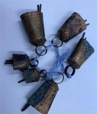 Primitives - Primitive Cow