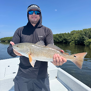 T3's_PokéVault | eBay Stores