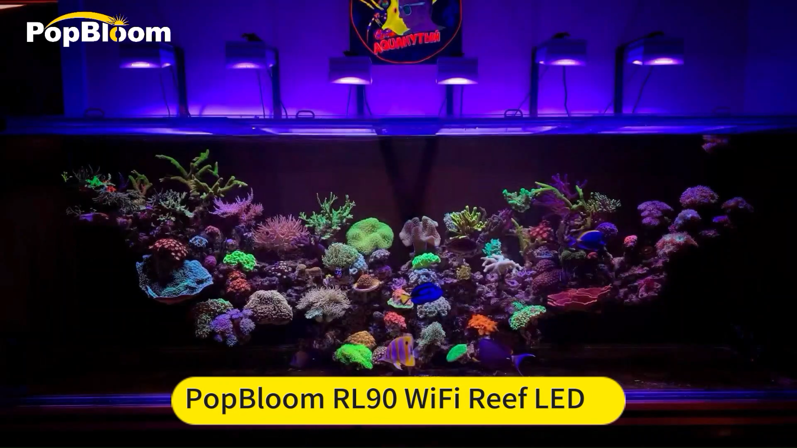 1PC-4PCS PopBloom RL90 Led Aquarium Light Reef Coral Grow Marine ...