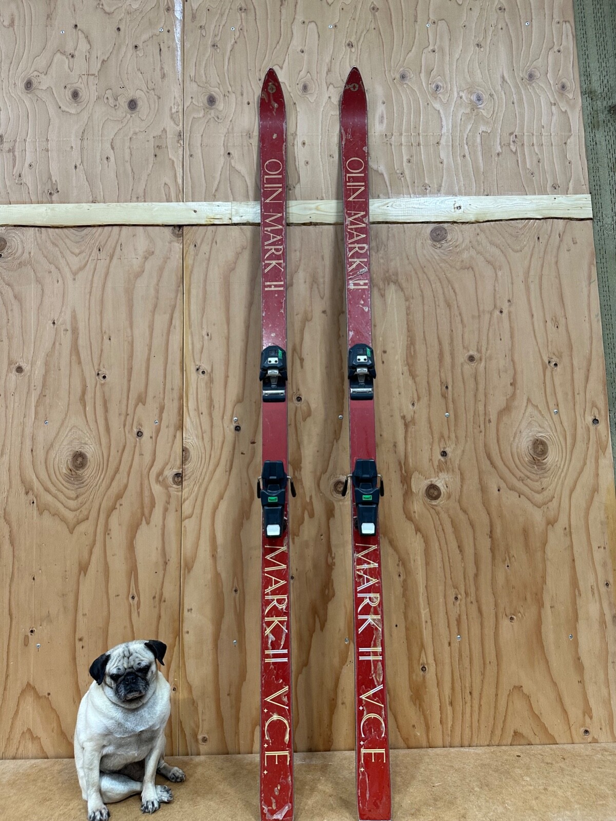 Vintage Olin Mark II V.C.E. Downhill Skis 195 cm Marker M28 Bindings Red | eBay