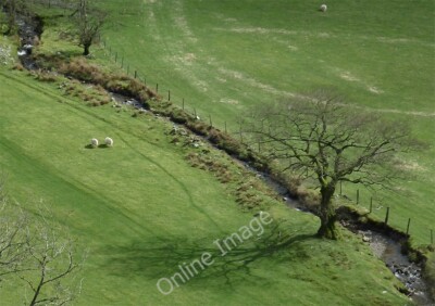 Photo 6x4 Pasture and stream near Ystradffin, Carmarthenshire Nant-y ...