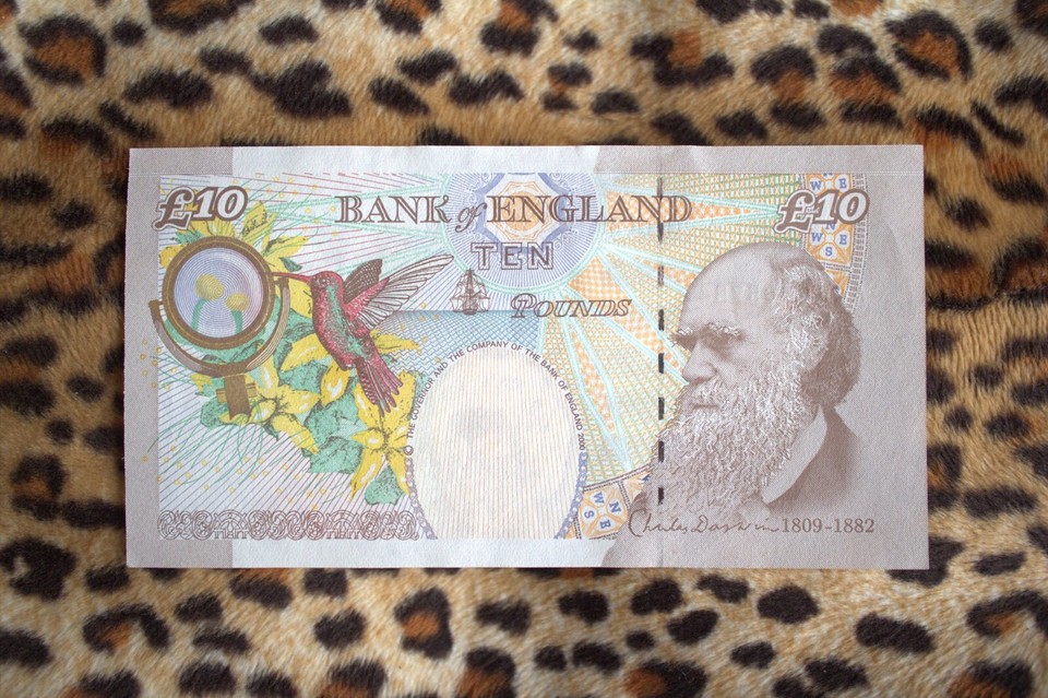 Bank of England old Ten Pound (£10) note - Lowther - Darwin - AC51 ...