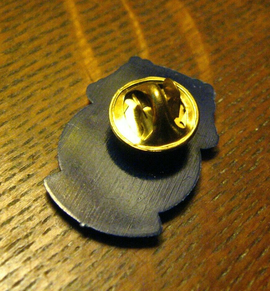 Teamsters Local 671 Lapel Pin - Bloomfield Connecticut USA Union 2014 ...