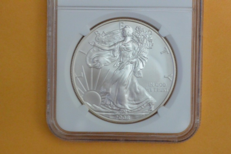 2008-W (Burnished) Silver Eagle NGC MS 70 | eBay