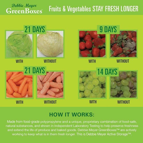 Debbie Meyer GreenBoxes, Food Storage Containers with Lids, Keep 32 ...