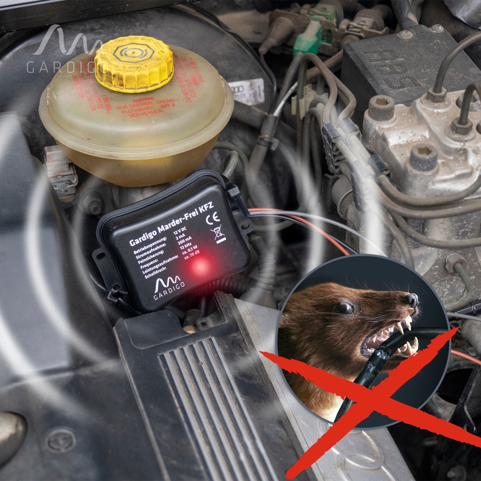 Erstaunlich Marderschutz Fr Auto Fotos