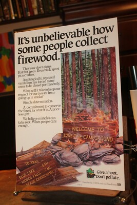 Vintage USDA US Forest Service Poster Give A Hoot, Don't Pollute ...