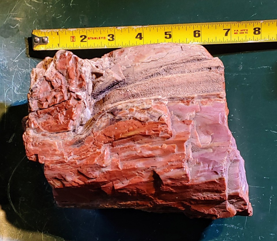 Arizona Rainbow Petrified Fossil Wood Remarkable Spicimen | eBay