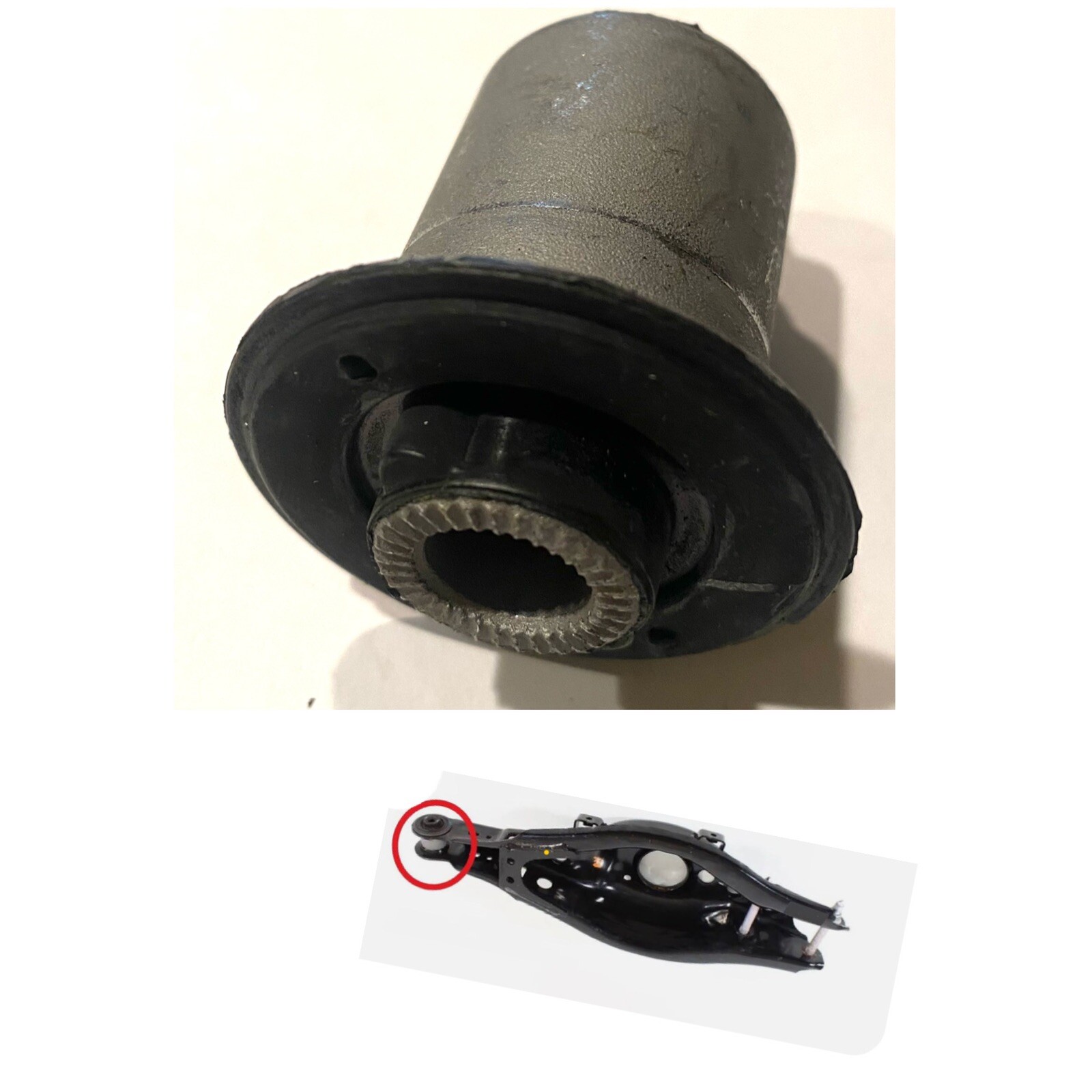 Rear Lower Control Arm Bushing RearWard For 2006-2014 Toyota Rav4 | eBay