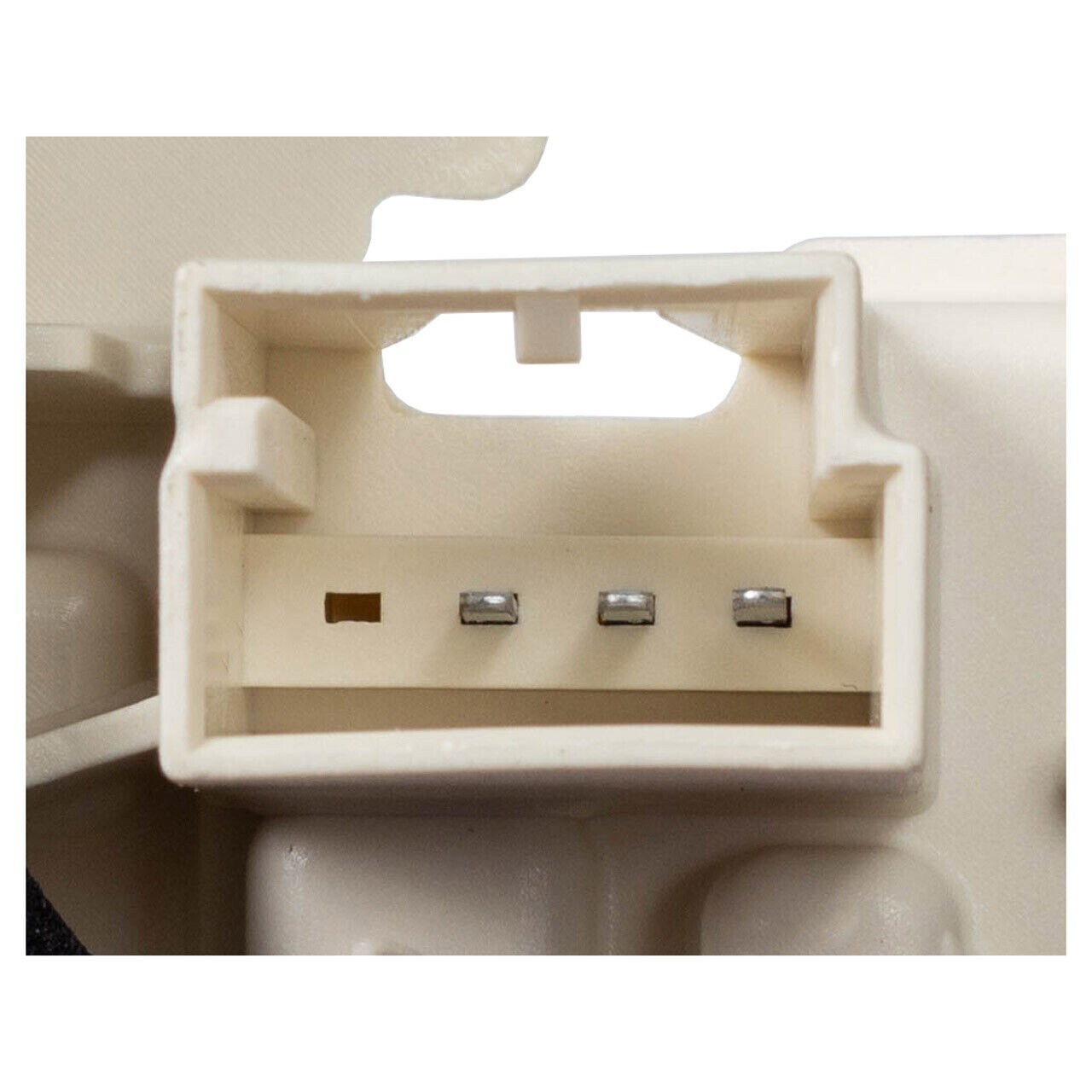 VW Tail Light Bulb Holder Right Outer 5G9945258A | eBay