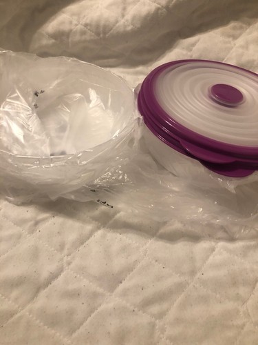 Tupperware Stuffables Bowls Set of Two Sheer 4 cup Bowls Purple Seals ...