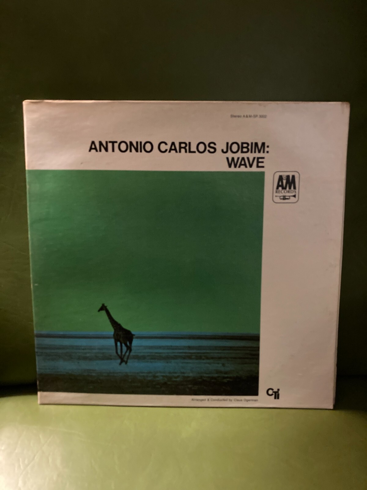 Antonio Carlos Jobim Wave