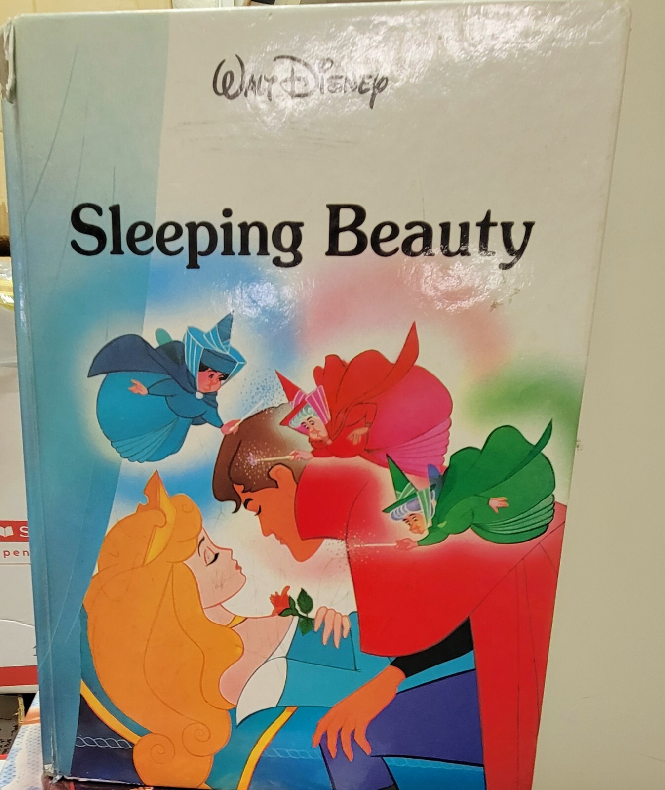 Sleeping Beauty Book Cover