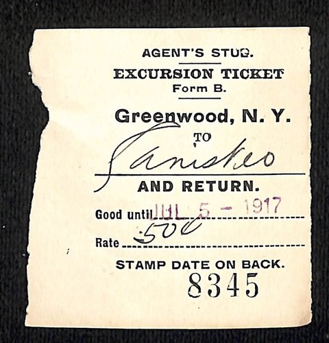New York & Pennsylvania Ry 1917 Greenwood, NY Excursion Ticket Stub ...
