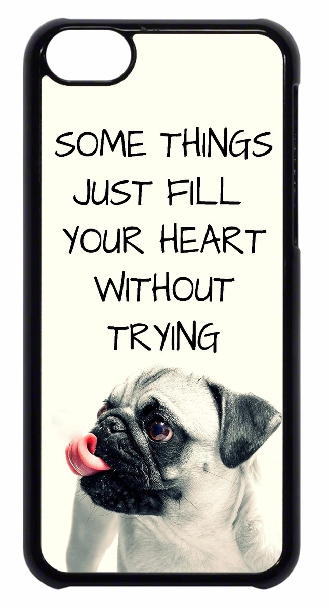 Ipod 5 Cute Animal Cases