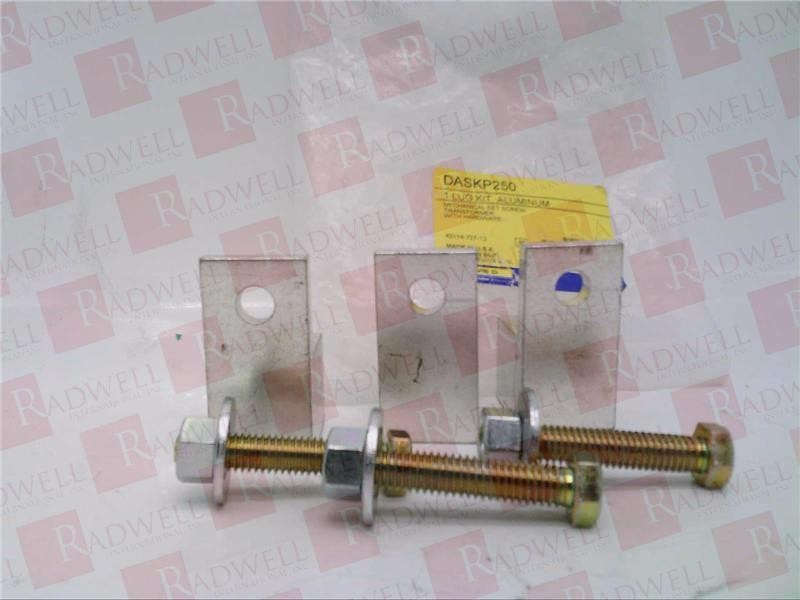 SCHNEIDER ELECTRIC DASKP250 / DASKP250 (BRAND NEW) | eBay