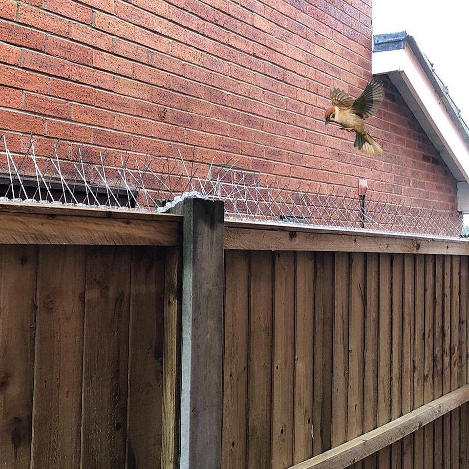 Steel Bird Spikes Fences Pigeon Spikes Anti Climb Security Wall Fence ...