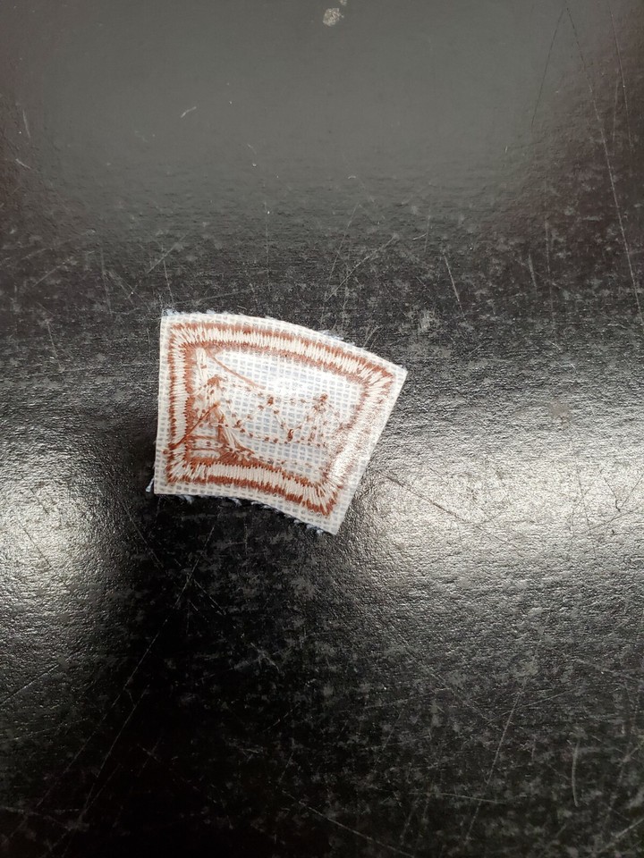 Retired Girl Scouts/Brownie/Daisy Bridge Patch - RARE | eBay