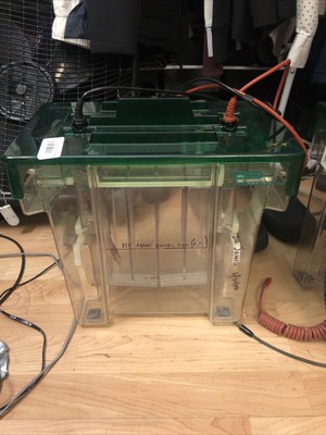 Analytical Instruments - Bio-Rad Protean