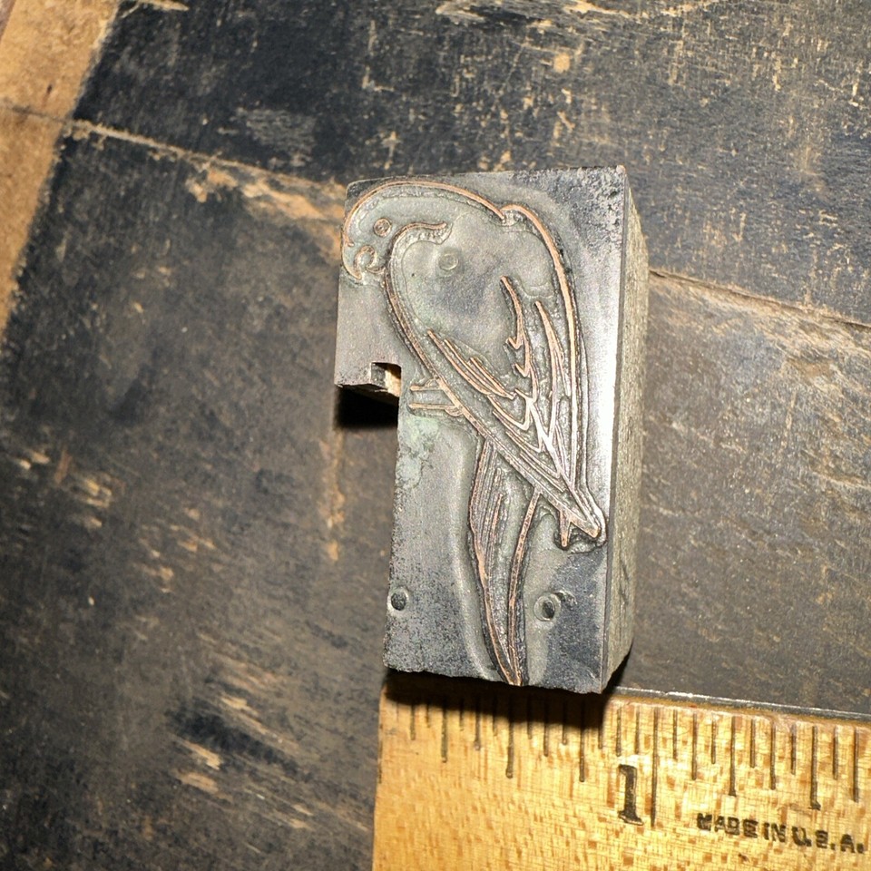 Print Block “ Parrot on Perch “ Copper Face Block | eBay
