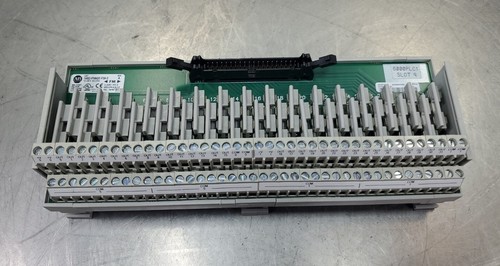 Allen Bradley 1492-IFM40F-F24-2 Ser. A 10-30V AC/DC Interface Module ...