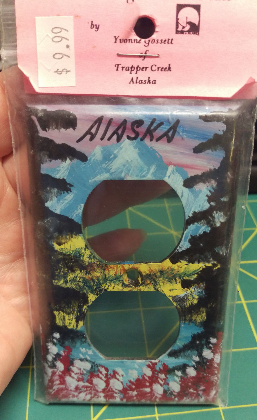 NEW Hand Painted Alaska outlet cover, Beautiful scene hand painted in ...