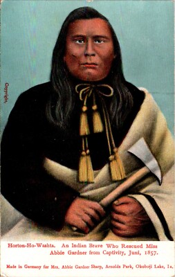Horton Ho Washta, Indian Brave Postcard | eBay