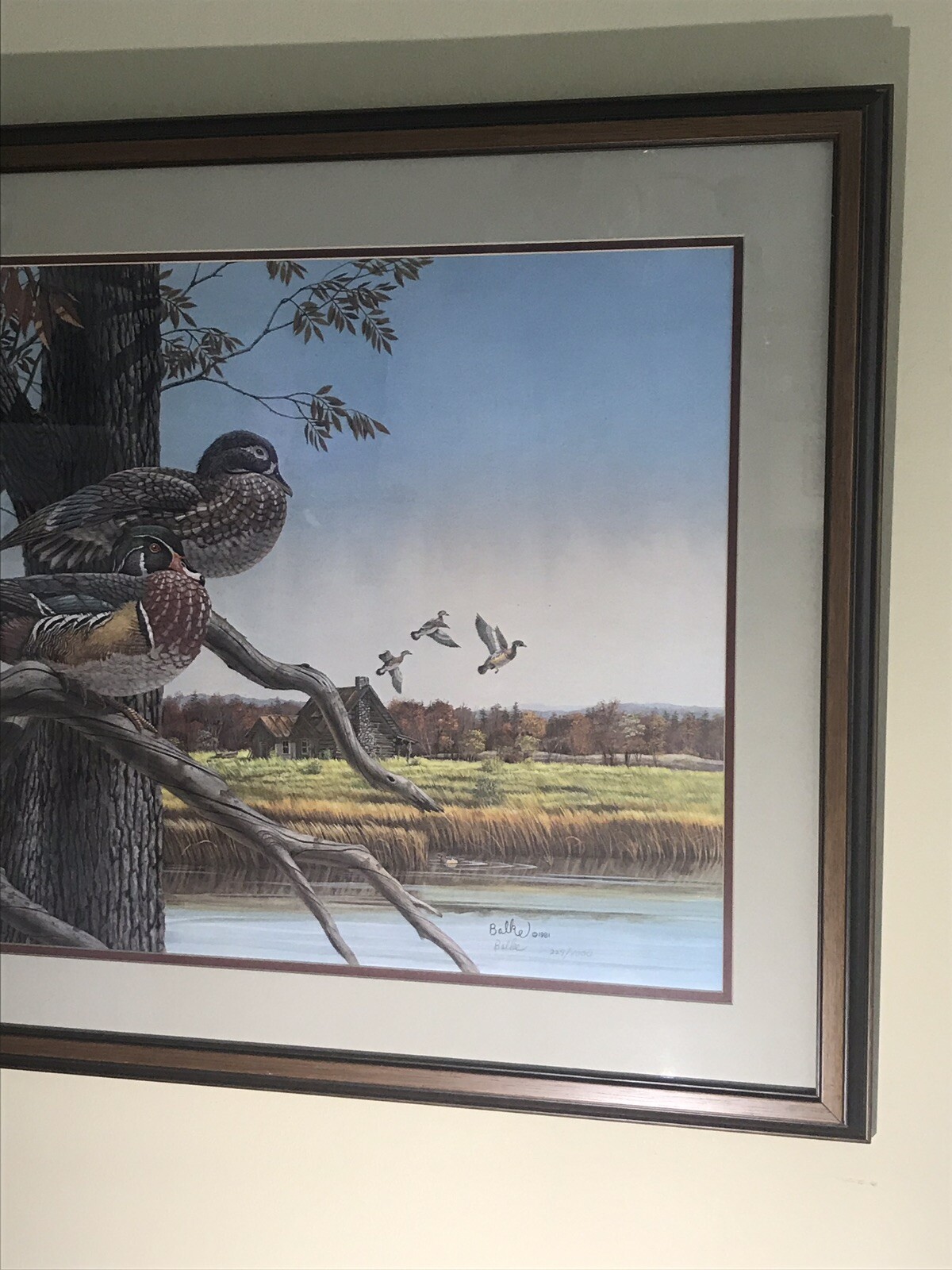 LARGE Don Balke Signed Numbered Framed Waterfowl Wood Duck Lithographic ...