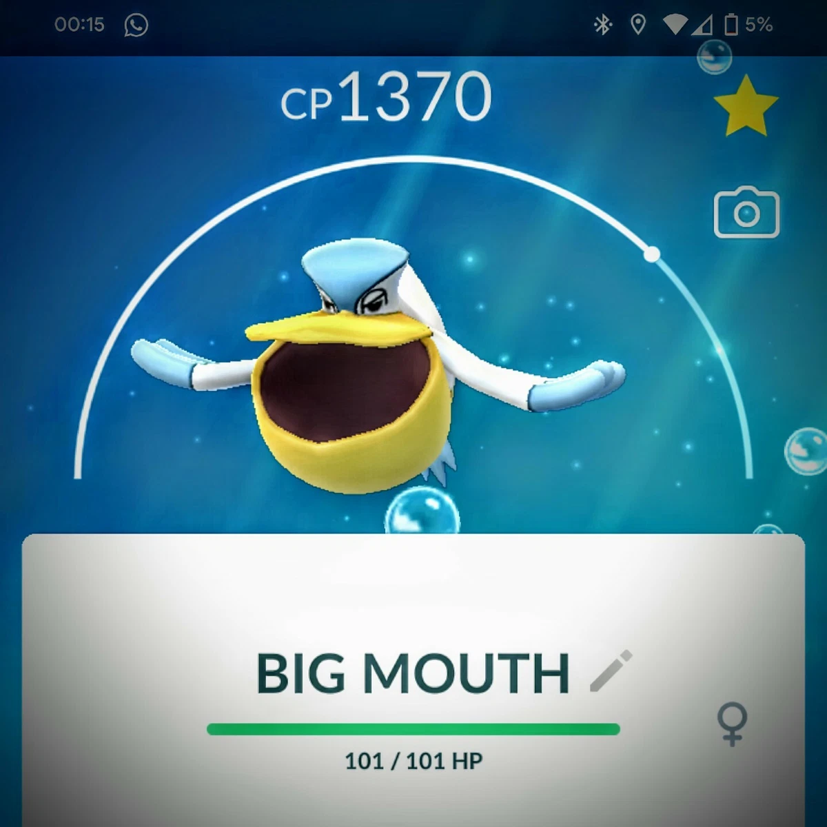 Wingull Evolution Chart