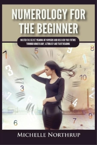 Michelle Northrup Numerology For The Beginner (Poche) 9781954797949 | eBay