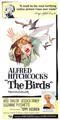 1963 THE BIRDS VINTAGE HITCHCOCK MOVIE POSTER PRINT STYLE B 24x12 9MIL ...