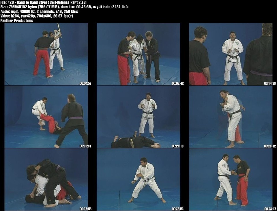 Advanced Brazilian Jiu Jitsu starring Joe Moreira (13 DVD Set) | eBay