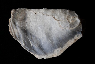 Neolithic & Paleolithic - Quina Mousterian