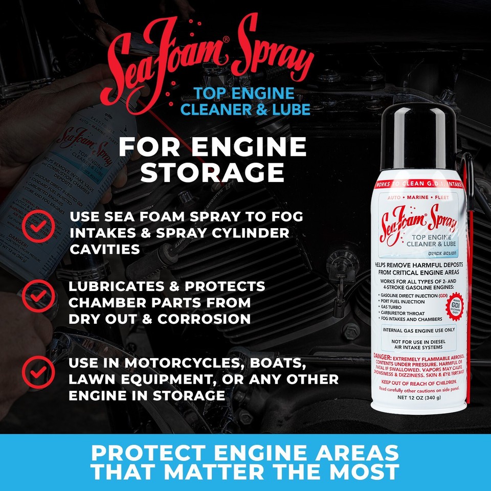Sea Foam Spray Intake Valve and Upper Engine Cleaner SS14 12 oz Pack of ...