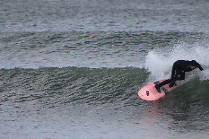 Salty Flips Store | eBay Stores