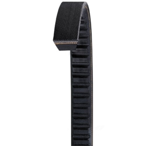 Accessory Drive Belt Dayco BX67 for sale online | eBay