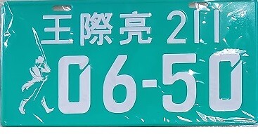 Multi Colors JDM License Plate Nautica Tablilla Corta Sola PR | eBay