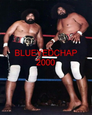 SAMOANS AFA & SIKA WRESTLER 8 X 10 WRESTLING PHOTO WWF NWA | eBay