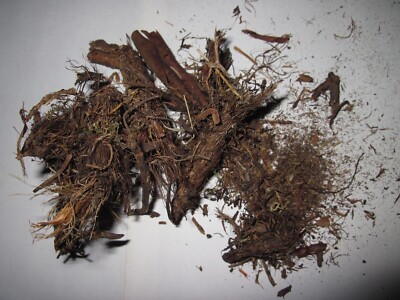 Nagarmotha Roots Cyperus Rotundus Herb Jadd Nutsedge Cypriol Whole raw ...