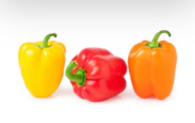 3x SWEET BELL PEPPER PLUG PLANTS. RED, ORANGE, YELLOW Large Plants ...